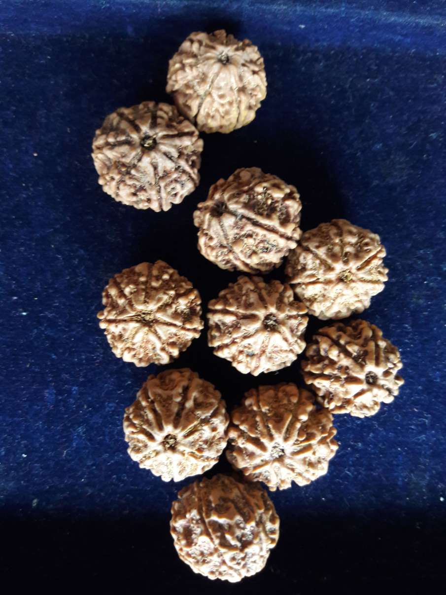 जानिए सातमुखी रुद्राक्ष से क्‍या होते हैं बड़े फायदे? कैसे करें सही ...