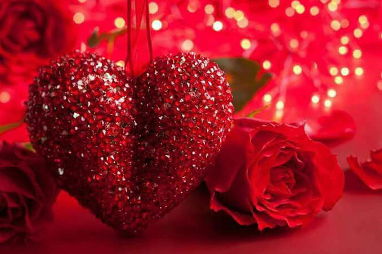 Happy rose day 2020 wishes images gif whatsapp messages shayri ...