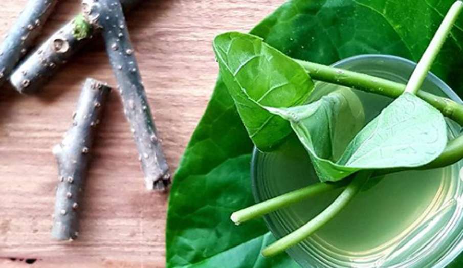 Giloy Benefits: When And How To Eat Giloy How To Make Giloy Kadha Juice ...