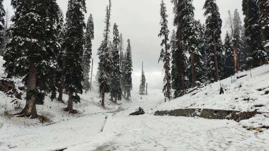 Fresh snowfall in Sonmarg and Gulmarg returned, tourists also happy to ...
