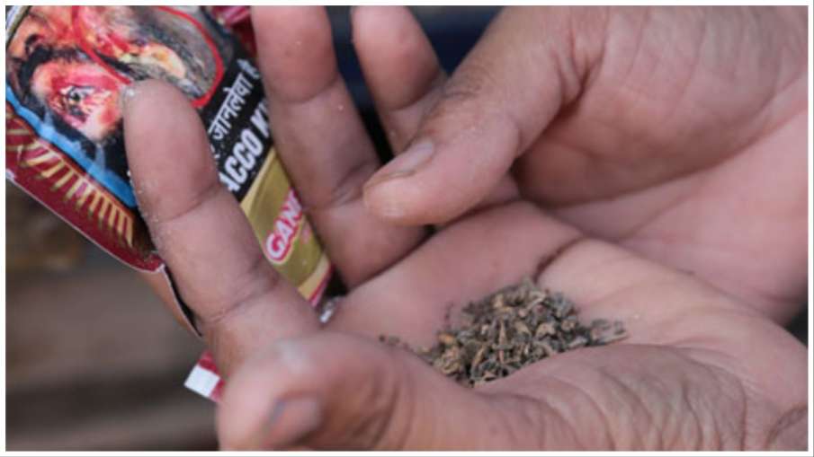 World no tobacco day 2023: क्या गुटखे में तंबाकू होता है? | Tobacco in ...