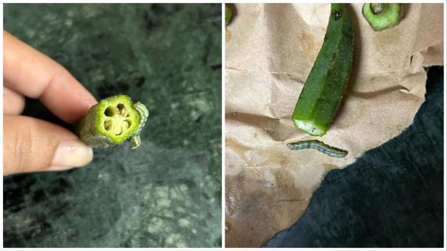 गलती से खाने में कीड़े खाने से क्या होता है | What if I ate a worms in ...