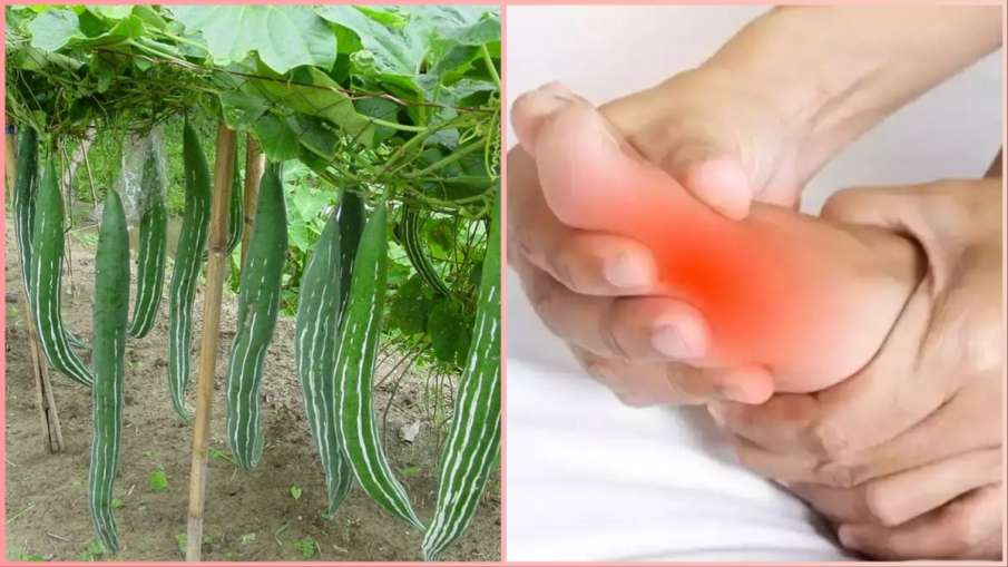 चिचिण्डा या कैता की सब्जी खाने के फायदे | Chichinda Snake Gourd ...