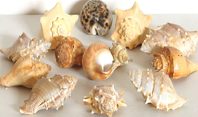 Aghan month start from tuesday15 november 2016 - India TV Hindi