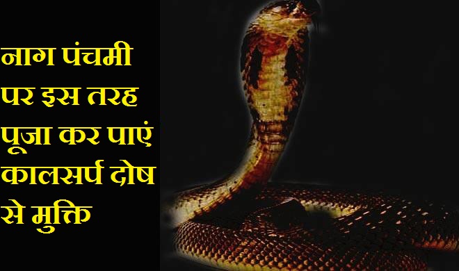 नागपंचमी: कालसर्प दोष से पाना है निजात, तो ऐसे करें पूजा-Do these ...