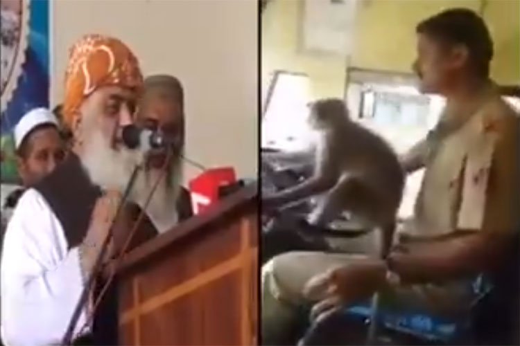 Pakistani leader Fazlur Rehman compared Imran Khan on to a monkey ...