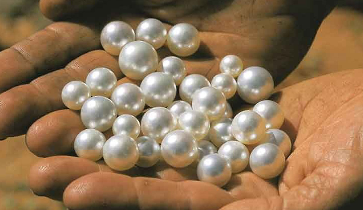 Advantages and disadvantages of wearing moti ratna pearl gemstone: मोती ...