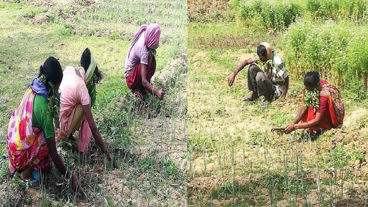 Tribal women in Jharkhand making masks made of neem leaves । झारखंड में ...