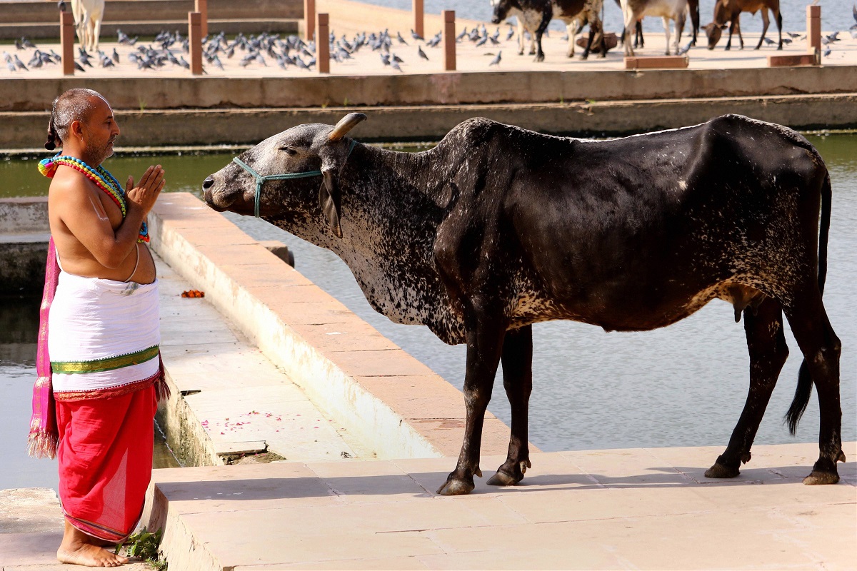 "Cow, Ganga and Geeta" is the identity of India: Minister of Uttar ...