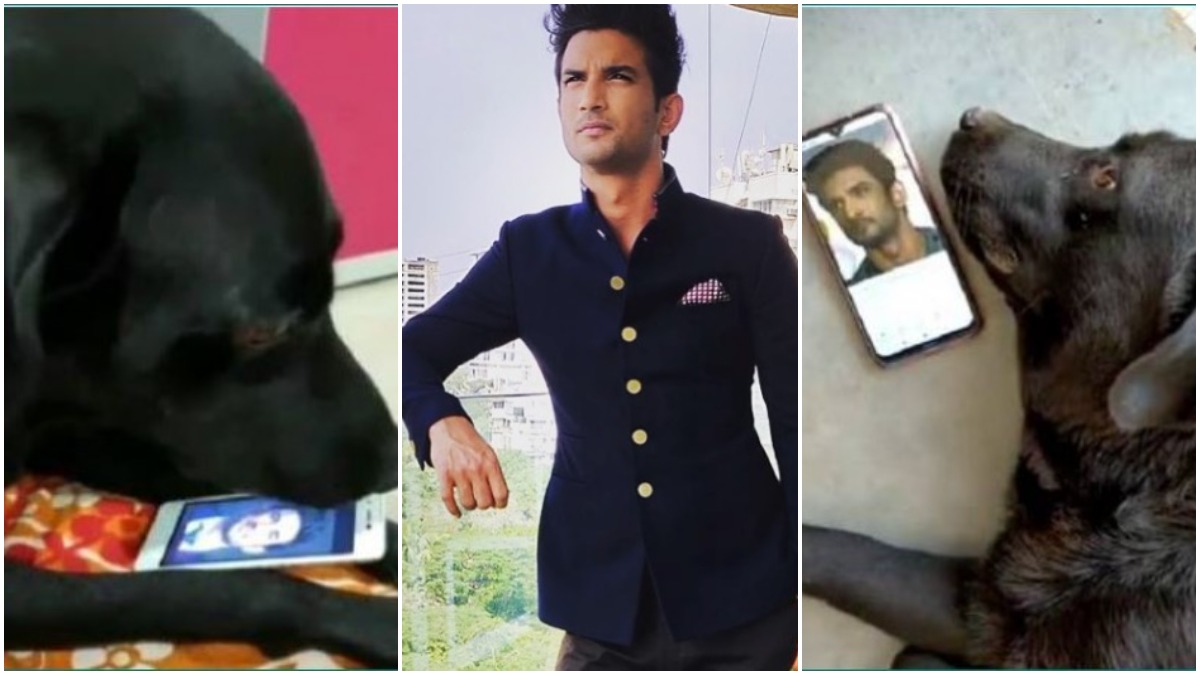 Sushant Singh Rajput dog is very sad pictures video viral on social ...