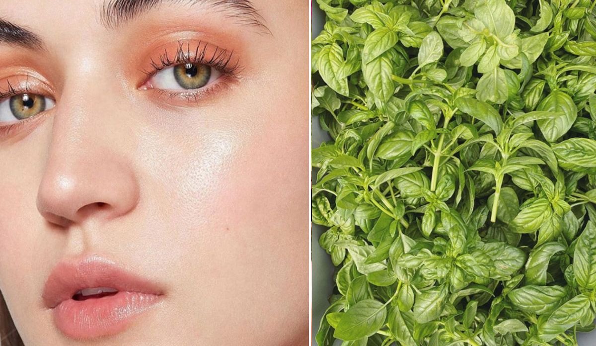 Homemade Anti Ageing Face pack how to use basil for glowing skin and ...