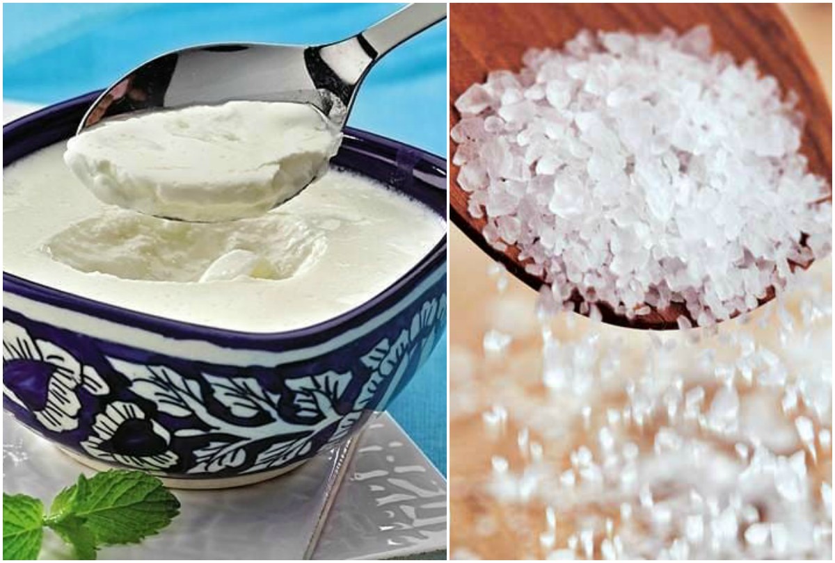 Amazing benefits of Curd and Sugar having together give instant energy ...