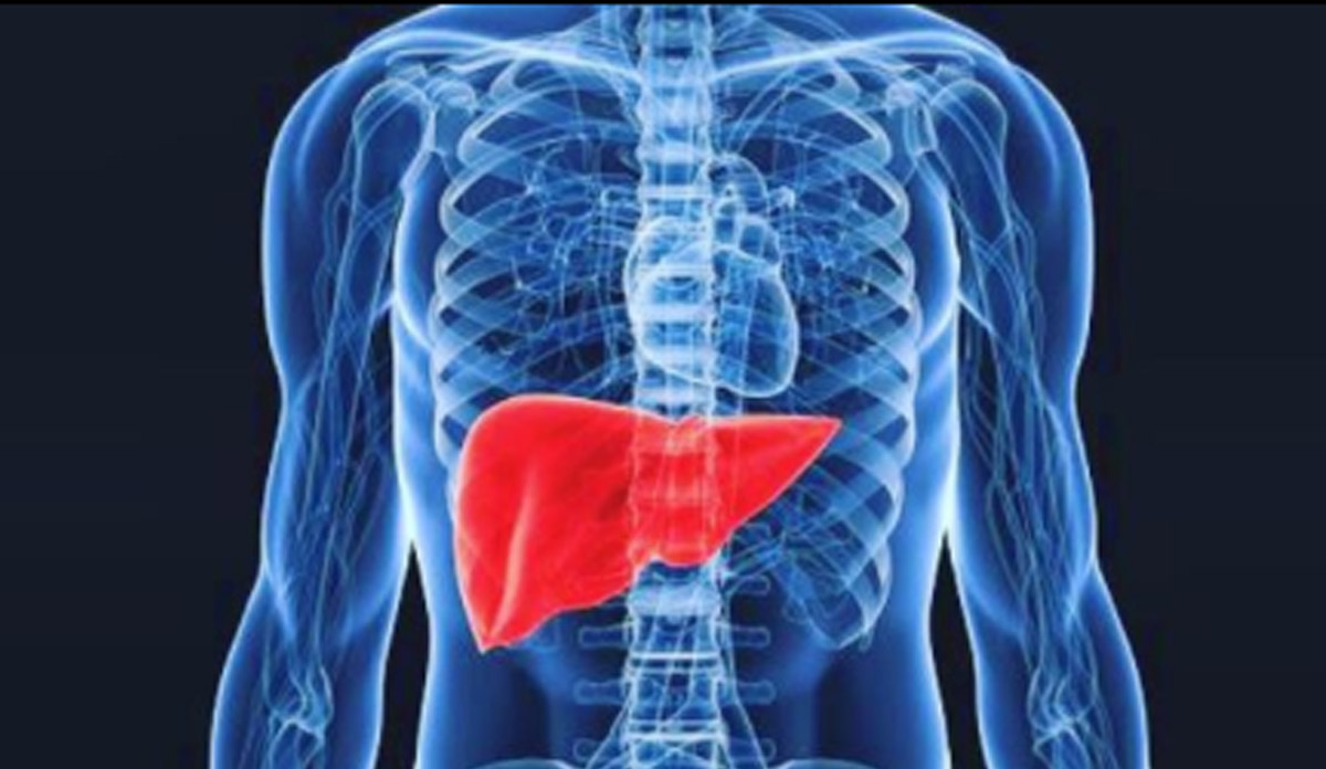 Best Food For Healthy Liver Avocado And Walnut Good For Fatty Liver In ...