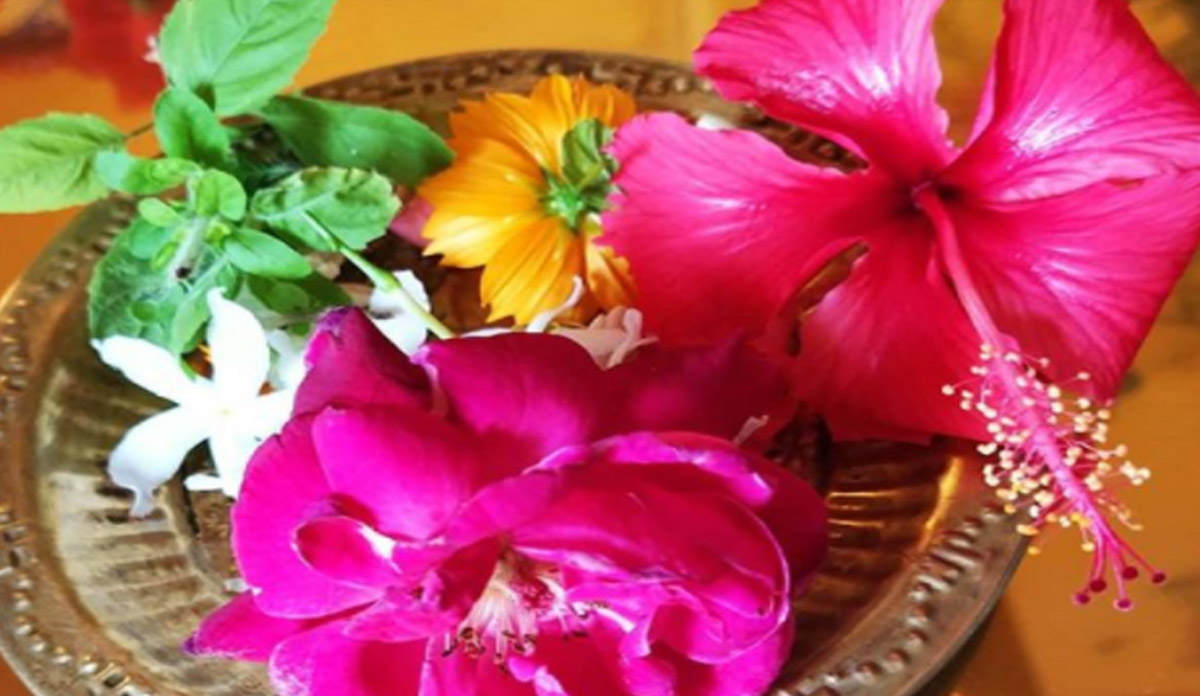 Purvashada Nakshatra on friday do these astrological measures for ...