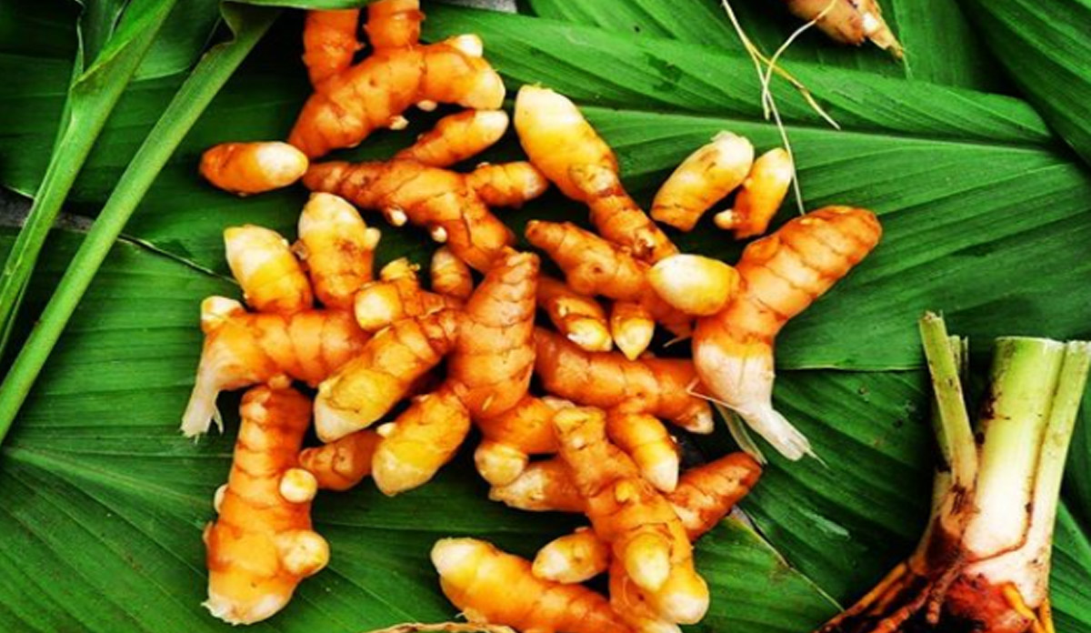 Kachchi haldi ki sabzi recipe swami ramdev share how to make turmeric ...