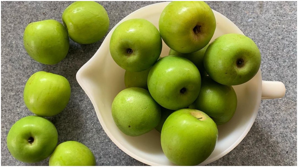 jujube is beneficial for health in many ways know the benefits of ber ...