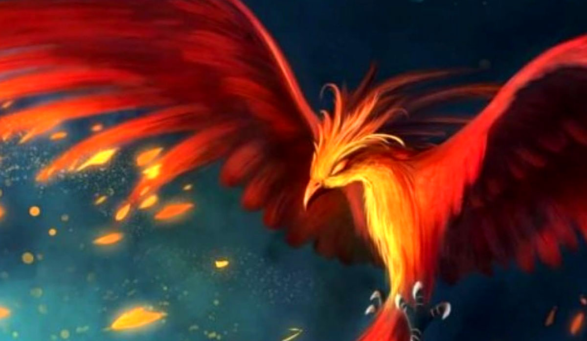 Vastu Tips: इस पक्षी की तस्वीर घर में लगाने से सफलता के रास्ते में आ ...