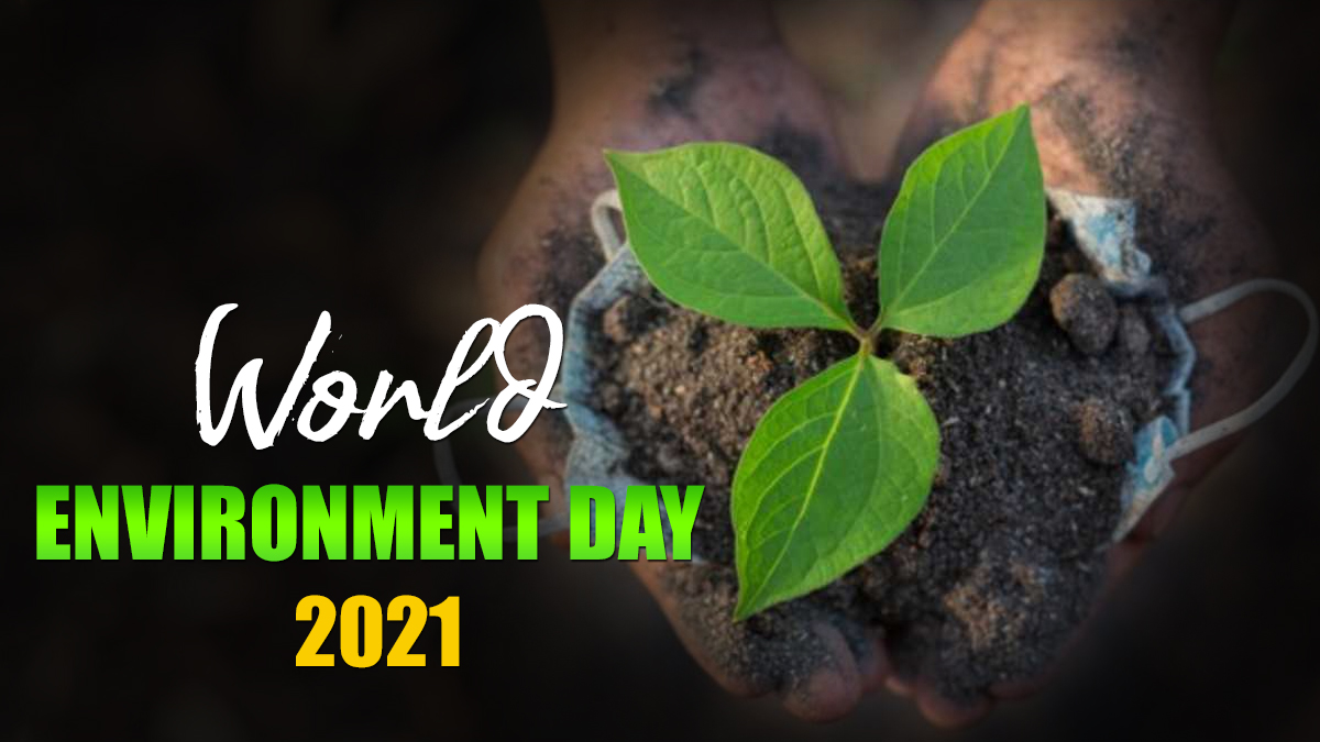 World Environment Day 2021: क्यों मनाया जाता है विश्व पर्यावरण दिवस ...