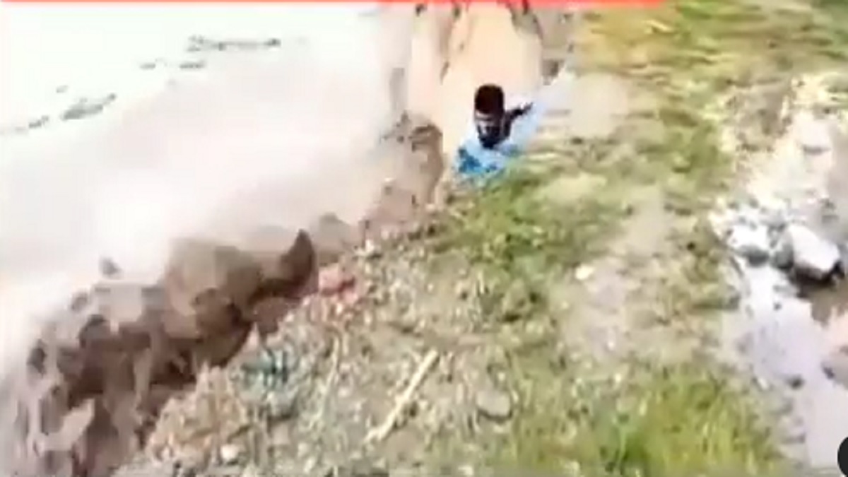Video: उफनती नदी किनारे खड़ी थी भीड़, मिट्टी कटते ही नदी में गिरा शख्स ...
