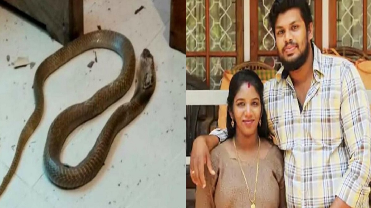 "The young man murders wife using a snake, the court admitted guilty ...