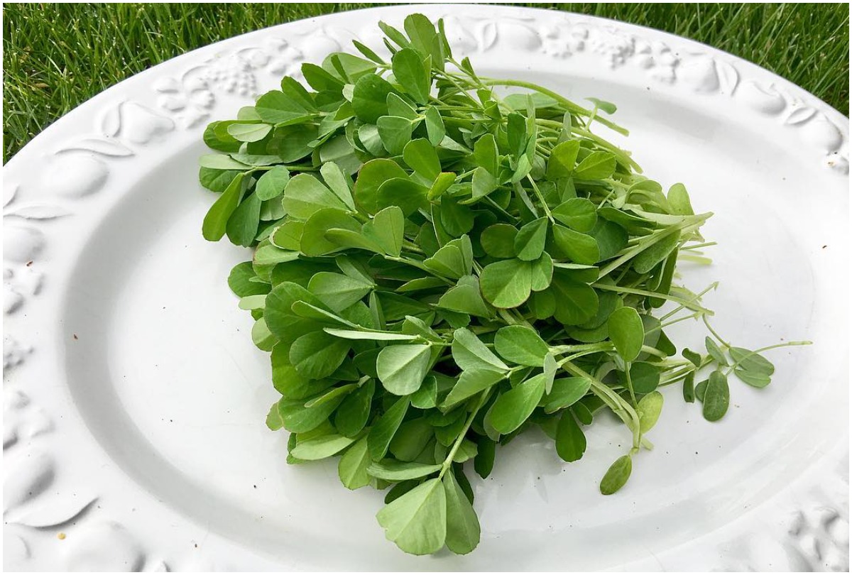 Methi Ka saag khane ke fayade Amazing health benefits of Methi Ka saag ...
