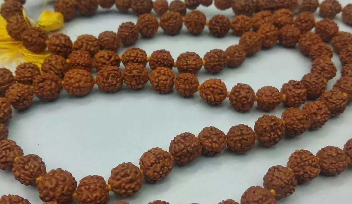 How to Test Rudraksha how to identify original rudraksha asli nakli ...
