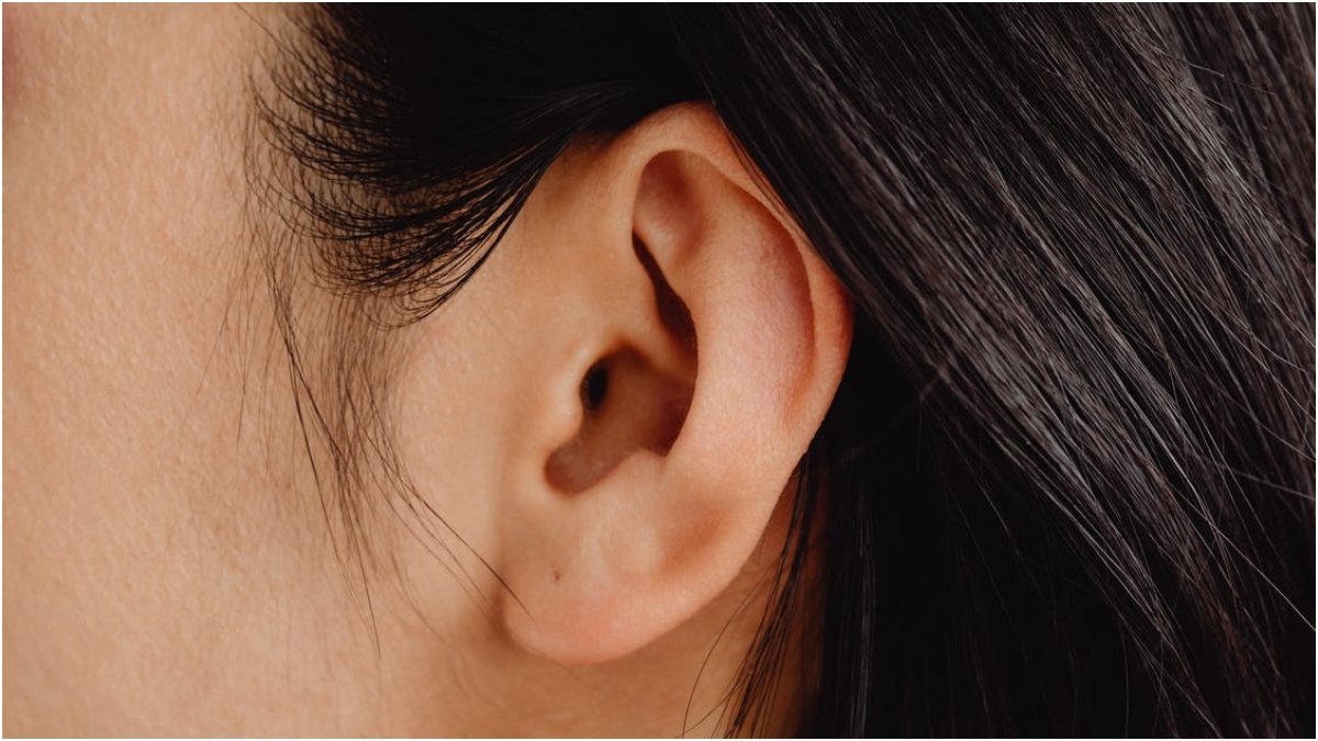 Samudrik Shastra: nature of people with small ears Samudrik Shastra ...