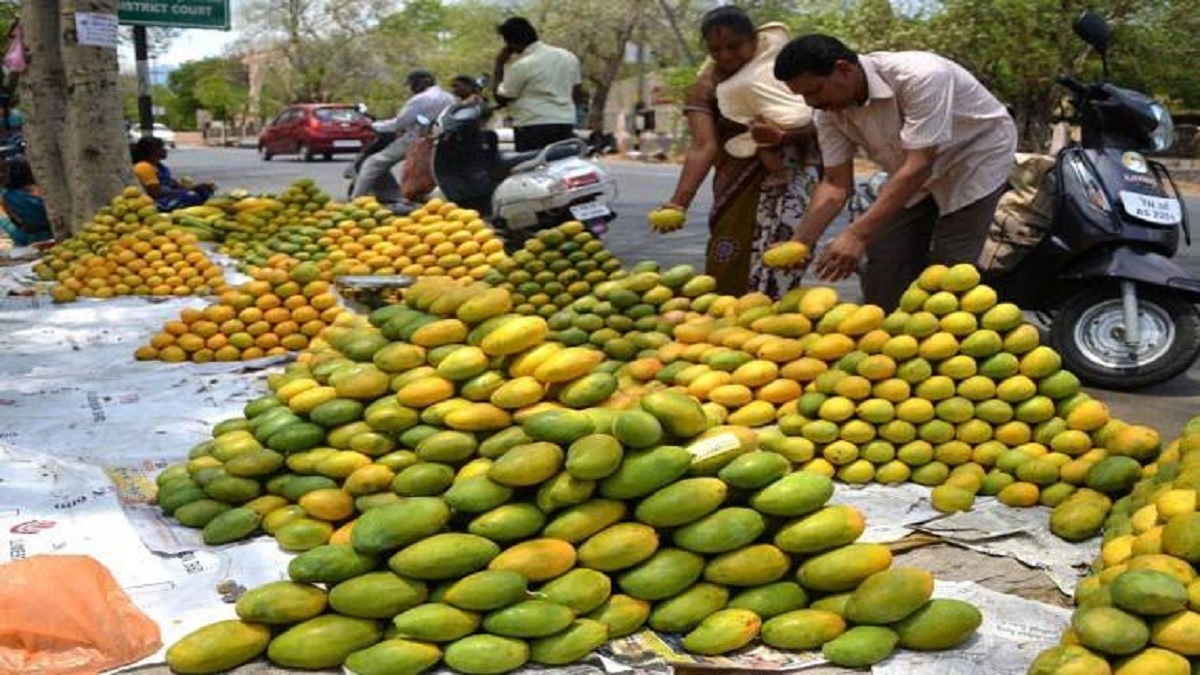Mango Production Mangoes will be sold expensive in UP production ...
