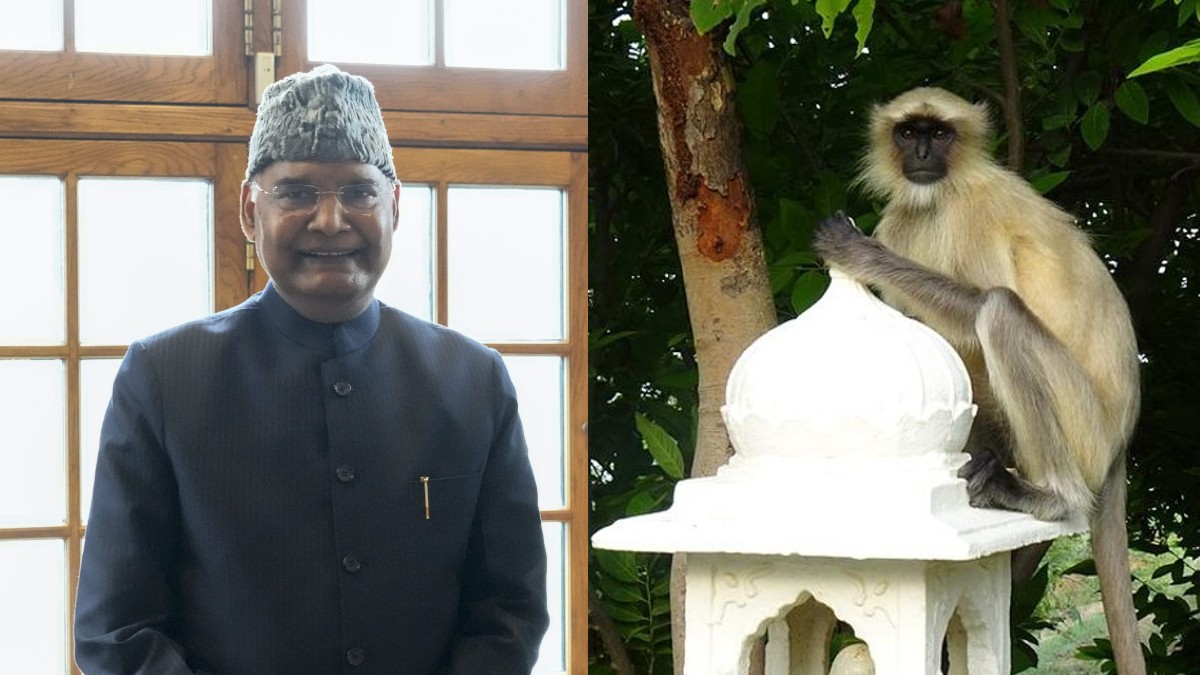 President Ramnath Kovind When langurs were deployed under the ...