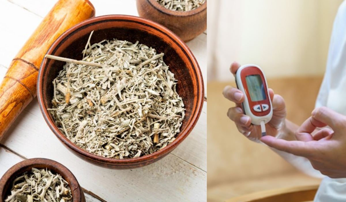 Chirata Benefits: चिरायता के सेवन से डायबिटीज सहित ये गंभीर बीमारियां ...