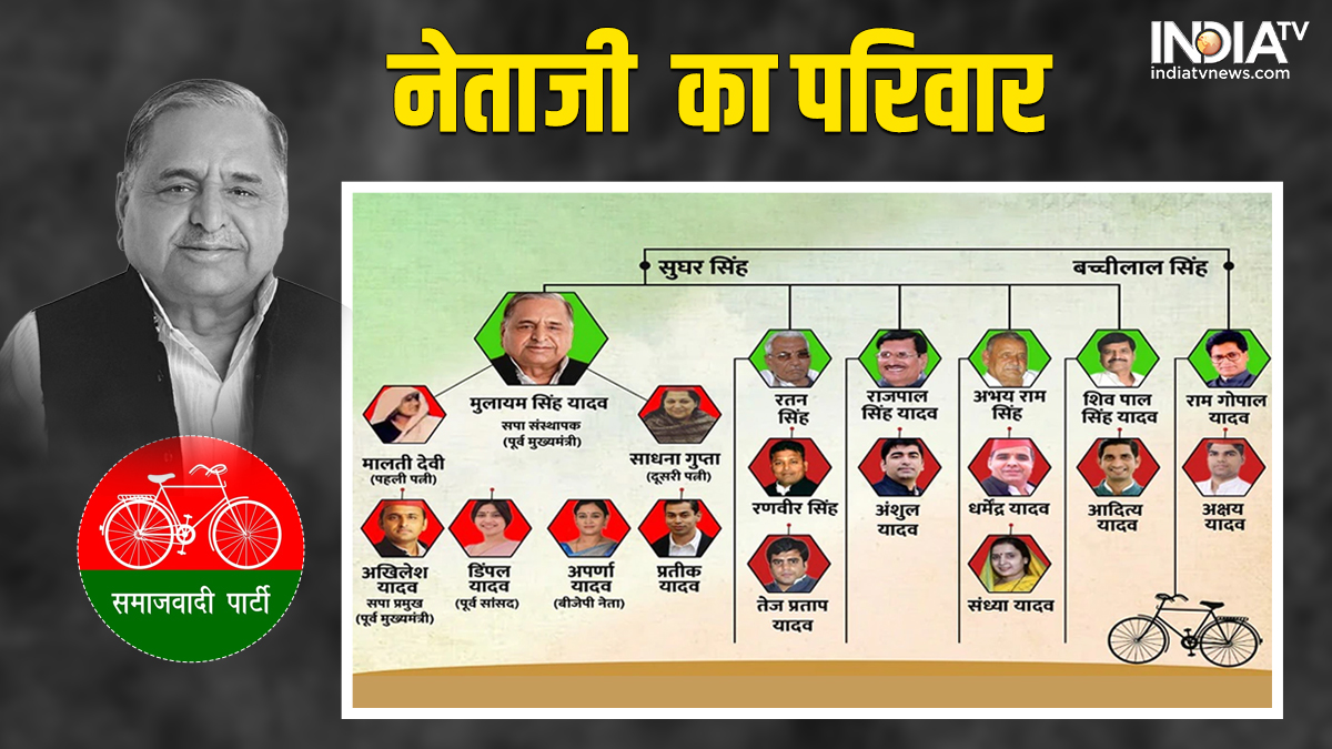 Mulayam Singh Yadav Know family members of NetaJi everyone is active in ...