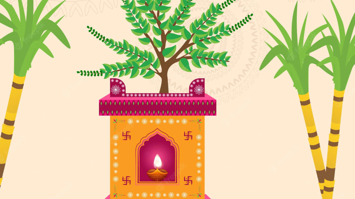 Tulsi Vivah Samagri List इन चीजों के बिना अधूरी है तुलसी पूजा तुलसी
