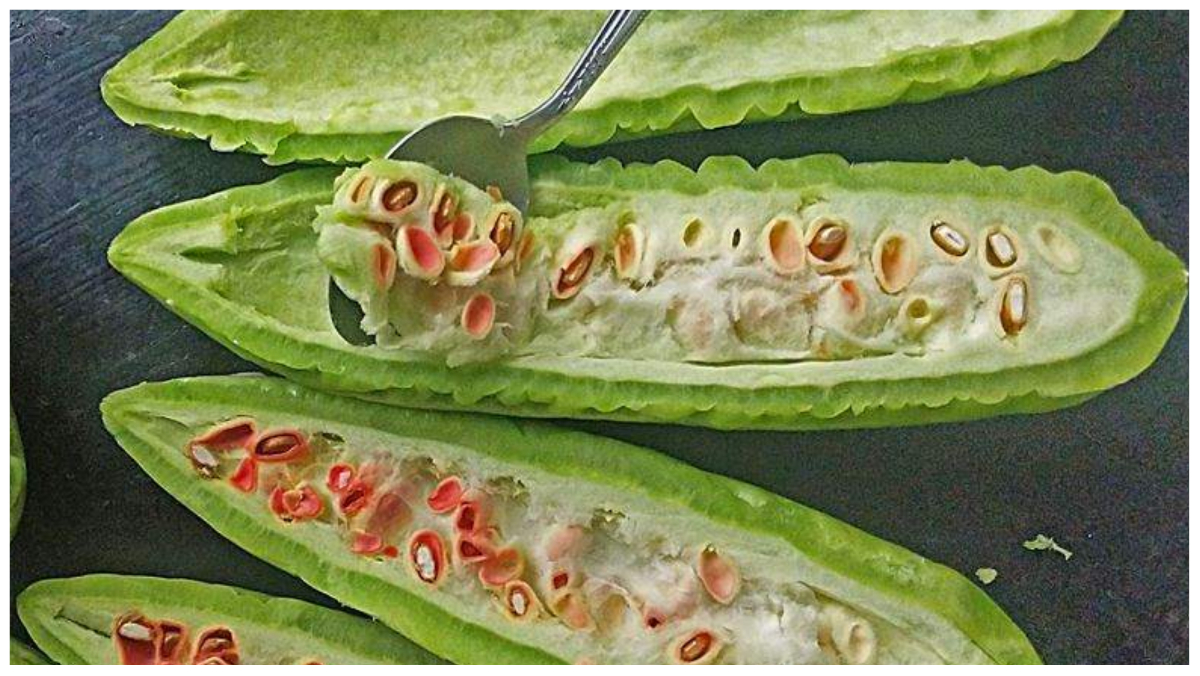 करेले के बीज खाने के फायदे | Karele ke beej ke fayde: Health Benefits ...