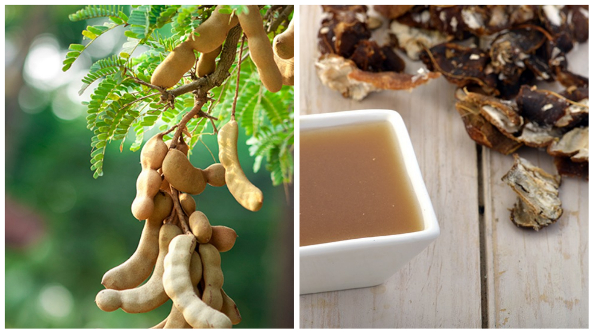 Imli ka pani ke fayde for in hindi | इमली का पानी पीने के फायदे - India ...