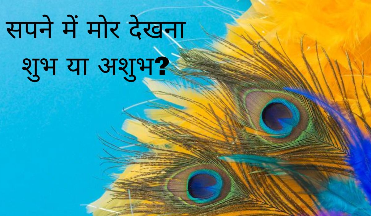 सपने में दिख जाए ये सुंदर पक्षी तो समझ लें - India TV Hindi