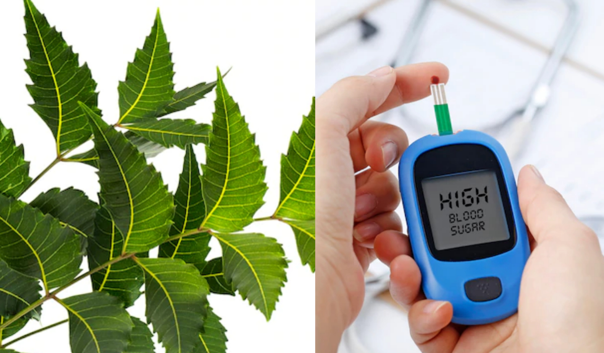 Neem is very effective for diabetes patients, use this way to control ...