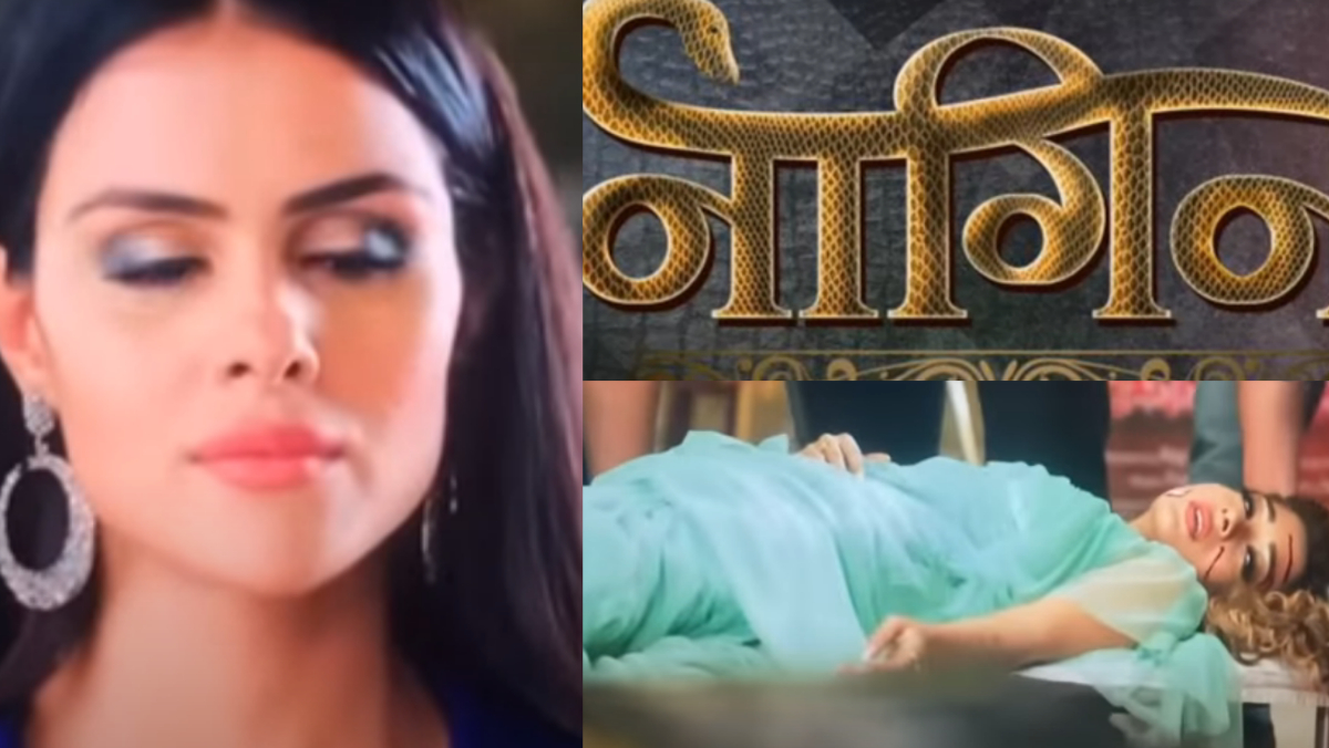 Naagin 7 Promo: Archana Gautam नहीं बल्कि बिग-बॉस की ये कंटेस्टेंट नागिन के प्रोमो में आईं नजर ...