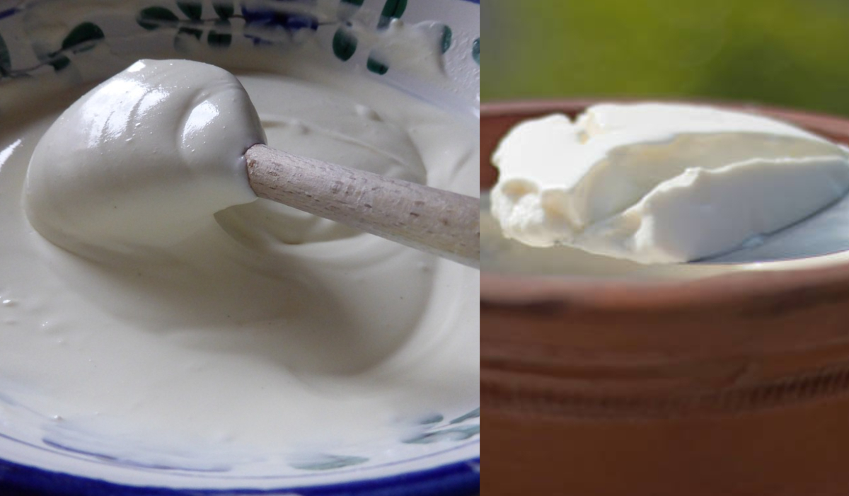 side effects of eating curd mixed with sugar, dahi chini khane ke ...