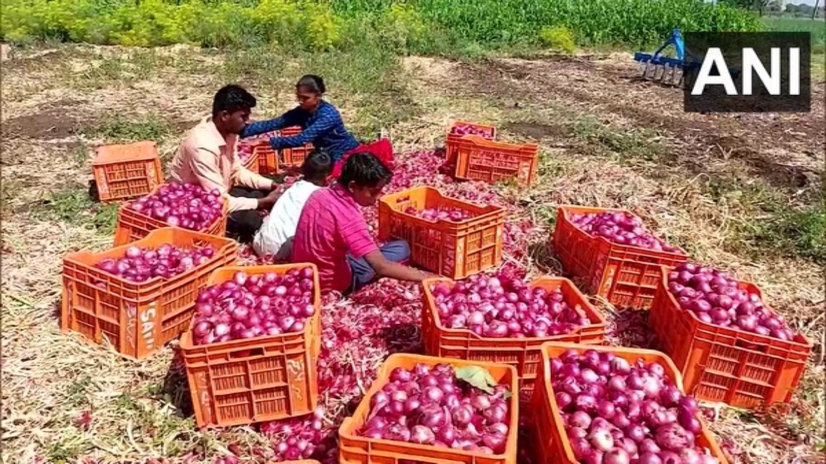 onion price reduced angry nashik farmers threatens to suicide with family see details ...