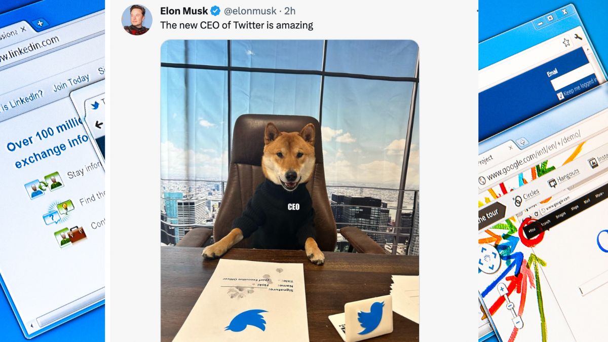 Twitter New CEO । Twitter का कामकाज कोई इंसान नहीं बल्कि संभालेगा डॉग ...
