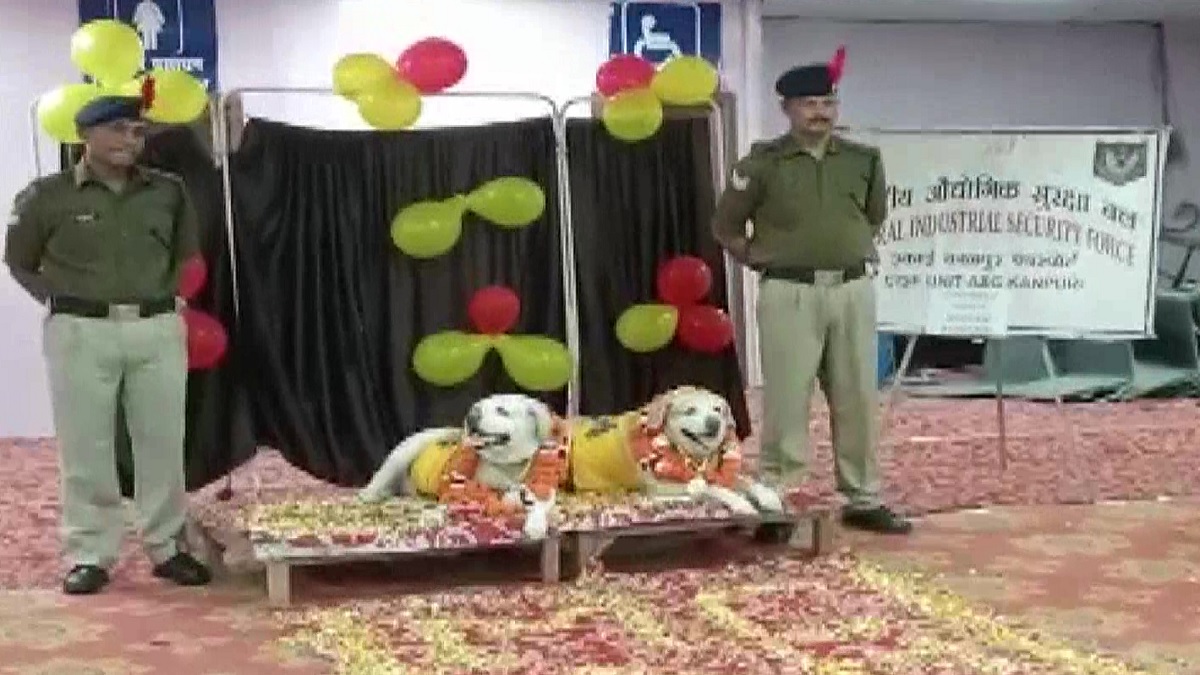 UP 2 dogs deployed by CISF at Kanpur airport retired honored with ...