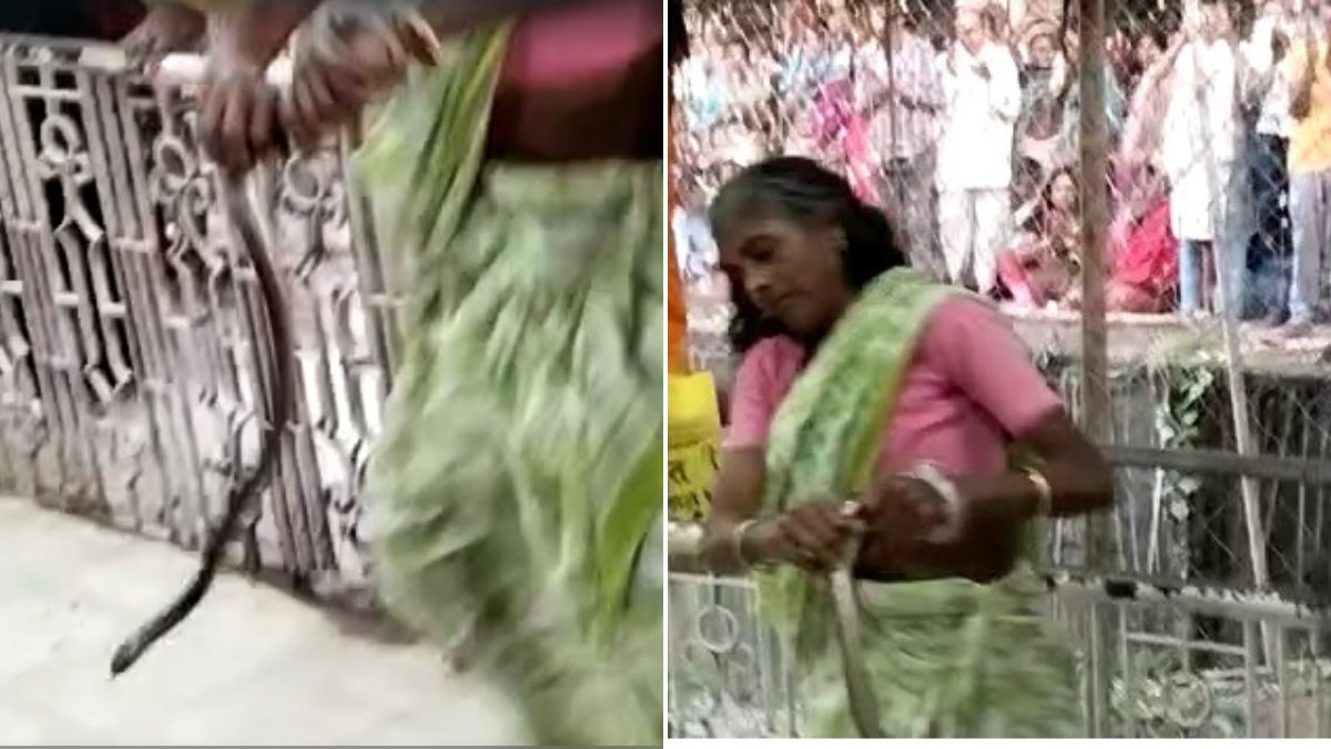 jamsavli hanuman mandir snake wrapped in woman hand during mahaarti ...