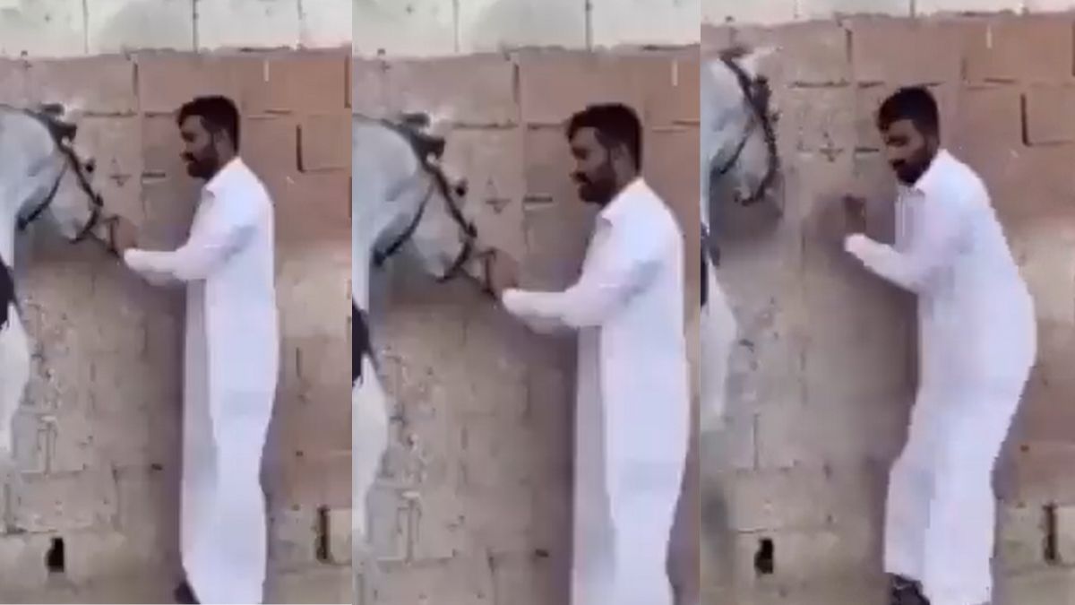 घोड़ी ने युवक को सिखाया सबक, जीवन भर नहीं करेगा ऐसा काम | mare hit the ...