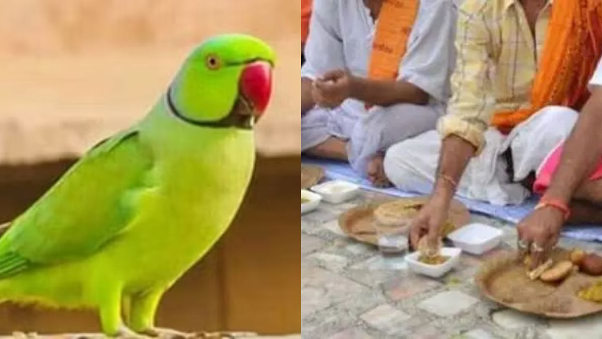 West Bengal's Majumdar family organizes last rites of Parrot after his ...