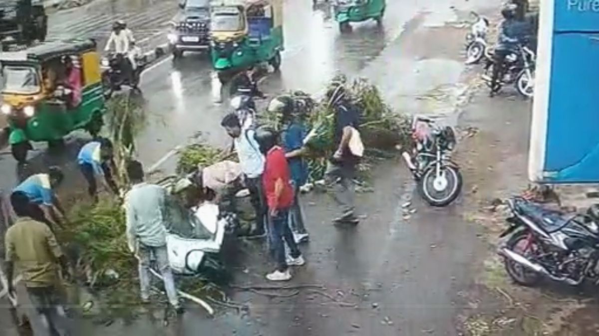 Riding a scooter without a helmet was dengerous, a tree branch fell on ...