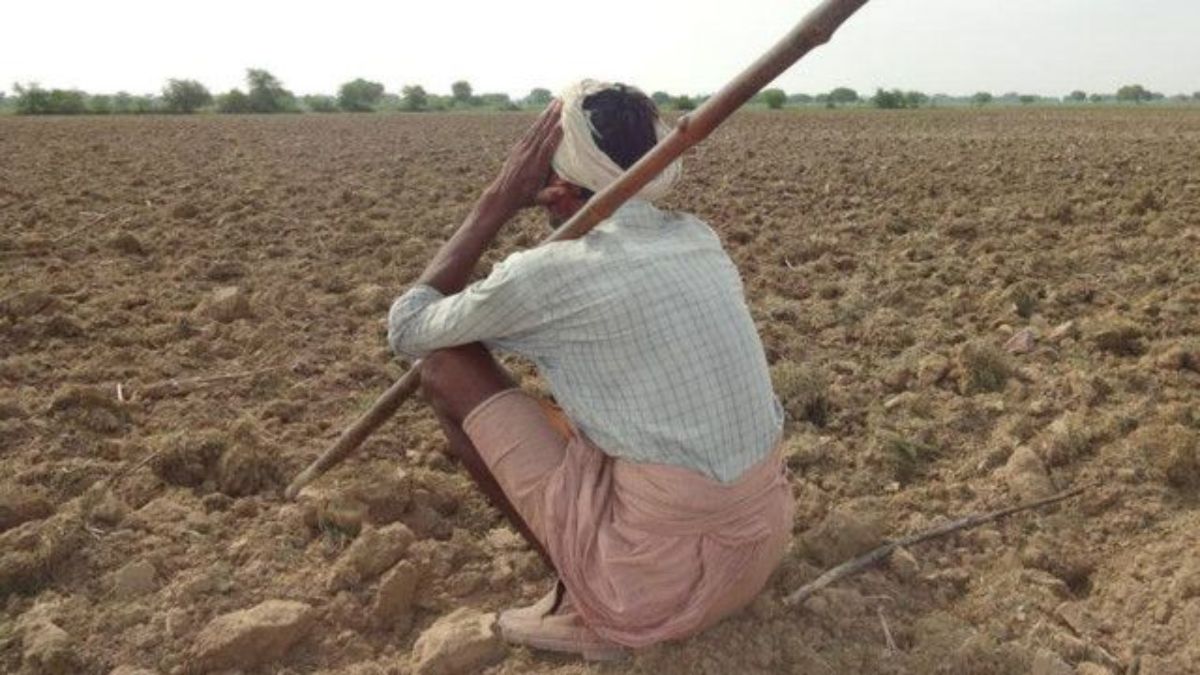 drought in Bihar s East Champaran About 74 percent less than normal ...