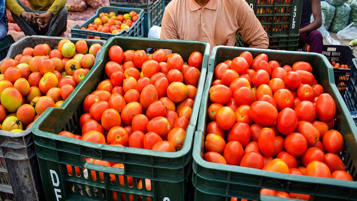 hardoi thieves stole 25 kg of tomatoes from vegetable market । रुपये ...