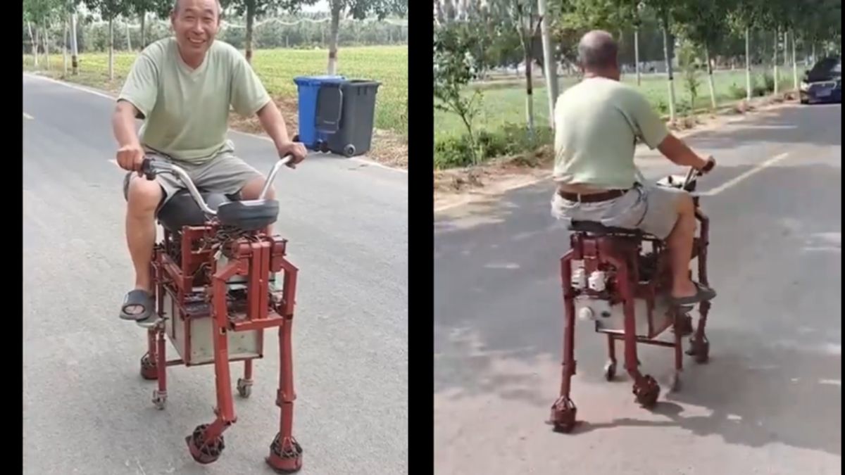 Chinese engineer built a mechanical donkey using spare parts, people ...