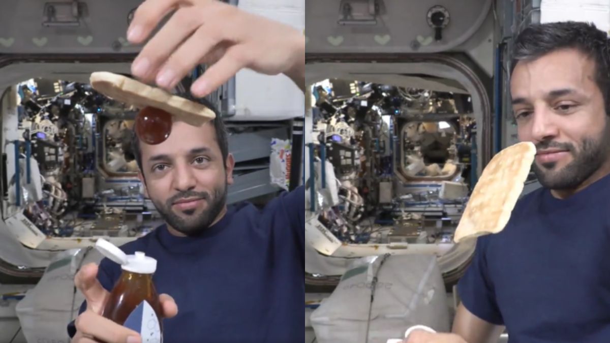 Astronaut Video Viral On Social Media Put Honey On Bread In Space Zero ...