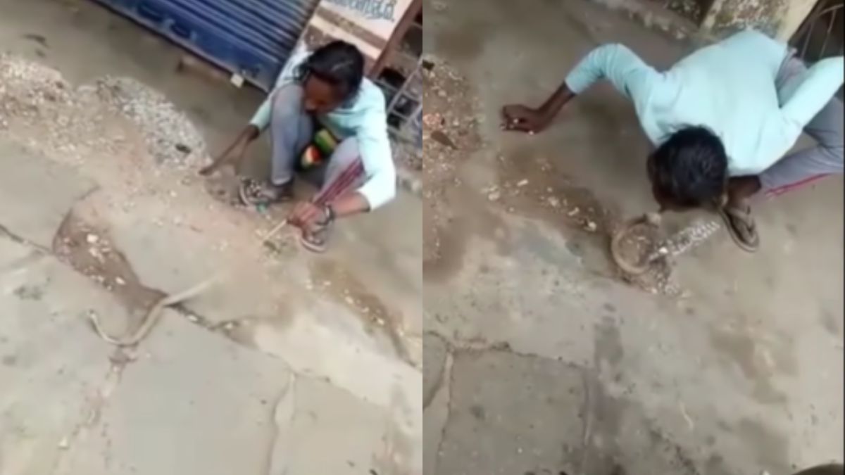 Video of a man 'KISSing' a snake went viral| Viral Video: सांप को ...